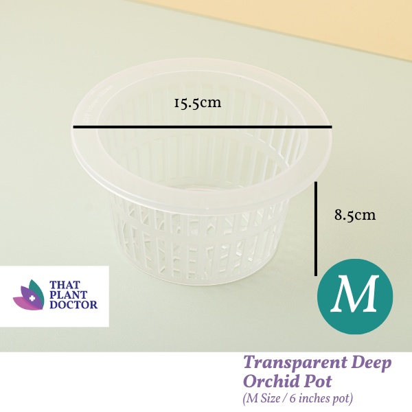 Transparent Deep Orchid Pot (M Size / 6 inches pot) | Shopee Singapore