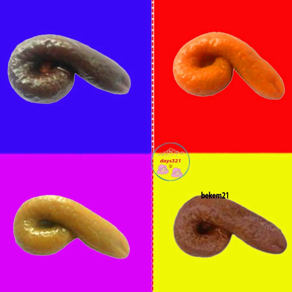 4 COLOR Fake Poop, very realistic, funny, stress-relieving ...