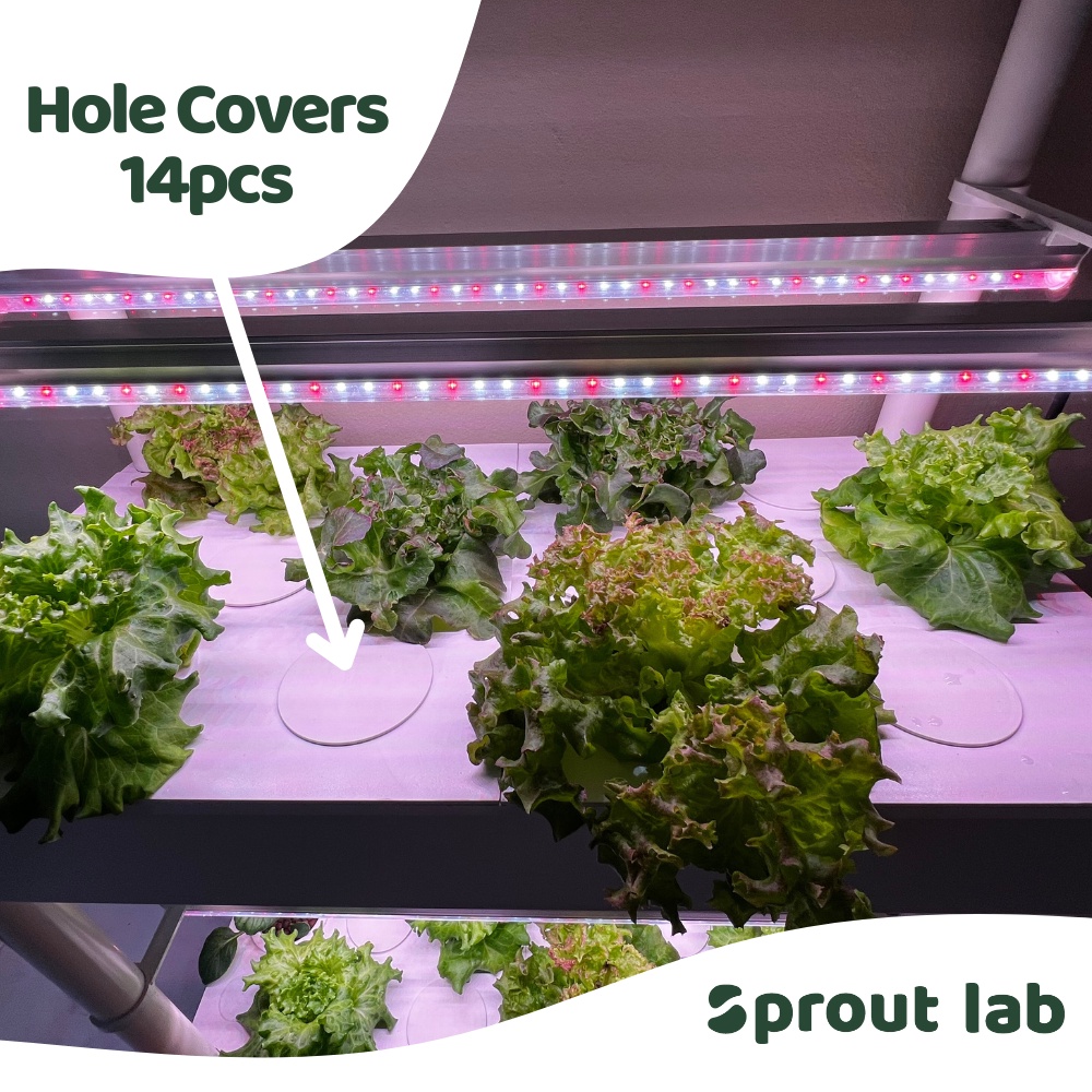 Sprout lab | Hydroponic System Hole Covers 14pcs | Shopee Singapore