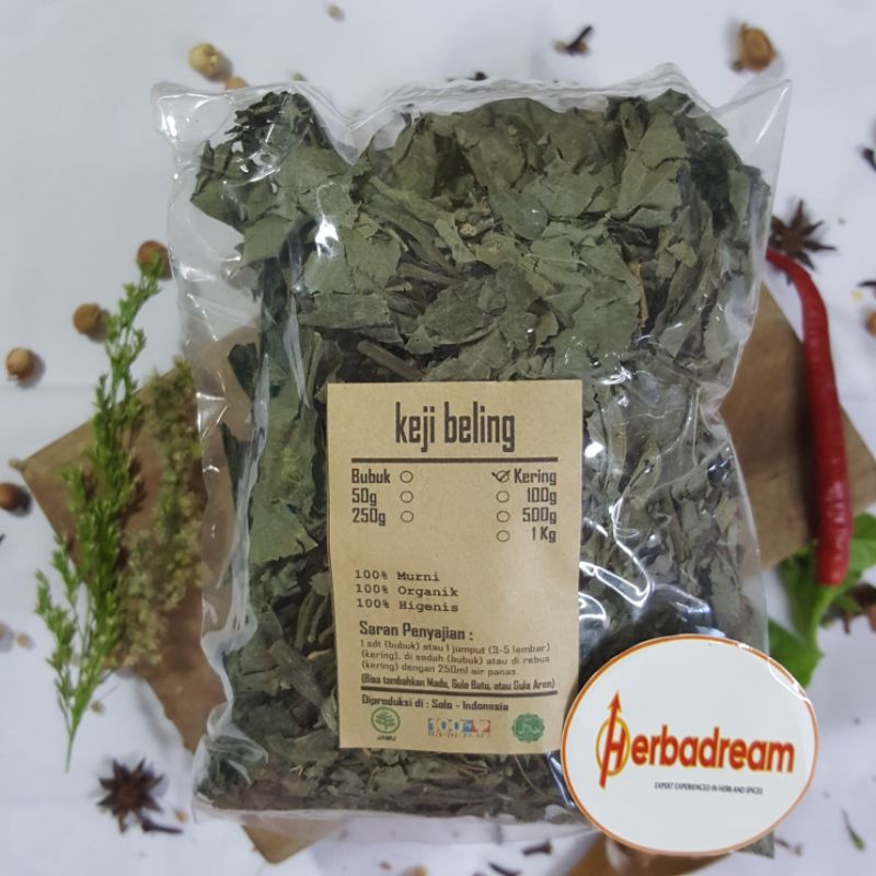50 GRAM KEJI LEAVES BELING KEJIBELING STROBILANTES CRACKED CRISPUS ...