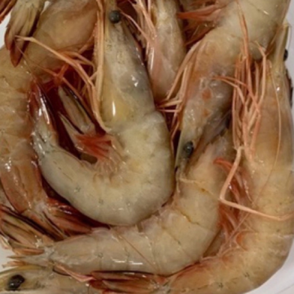 Seafood sale! Wild catch Angka prawn 野生红脚虾 明虾 500g | Shopee Singapore