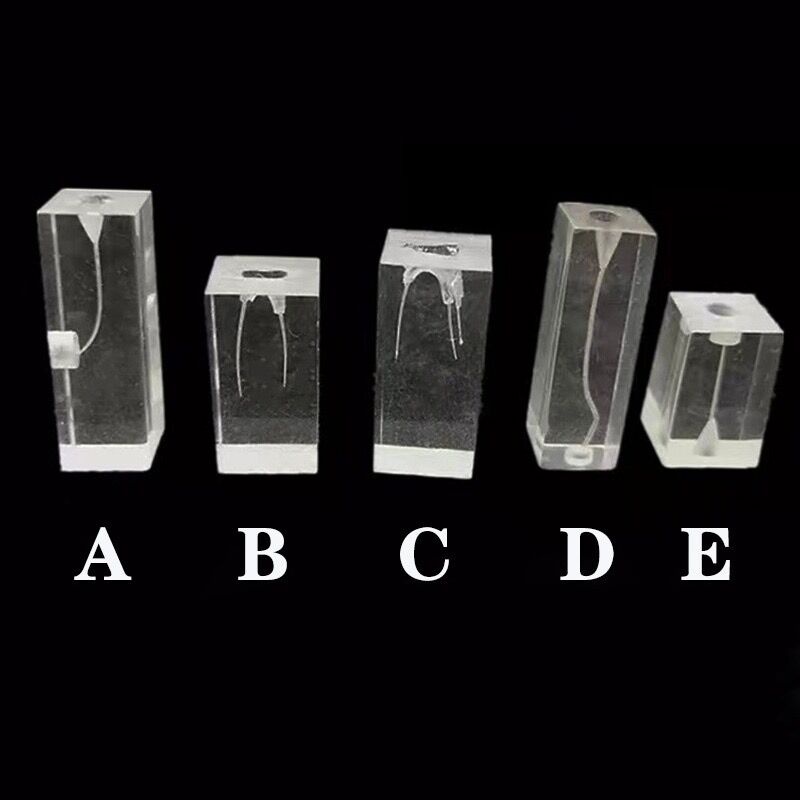 5Type Dental Model Endodontic Root Canal Block Practice Teeth Pulp ...