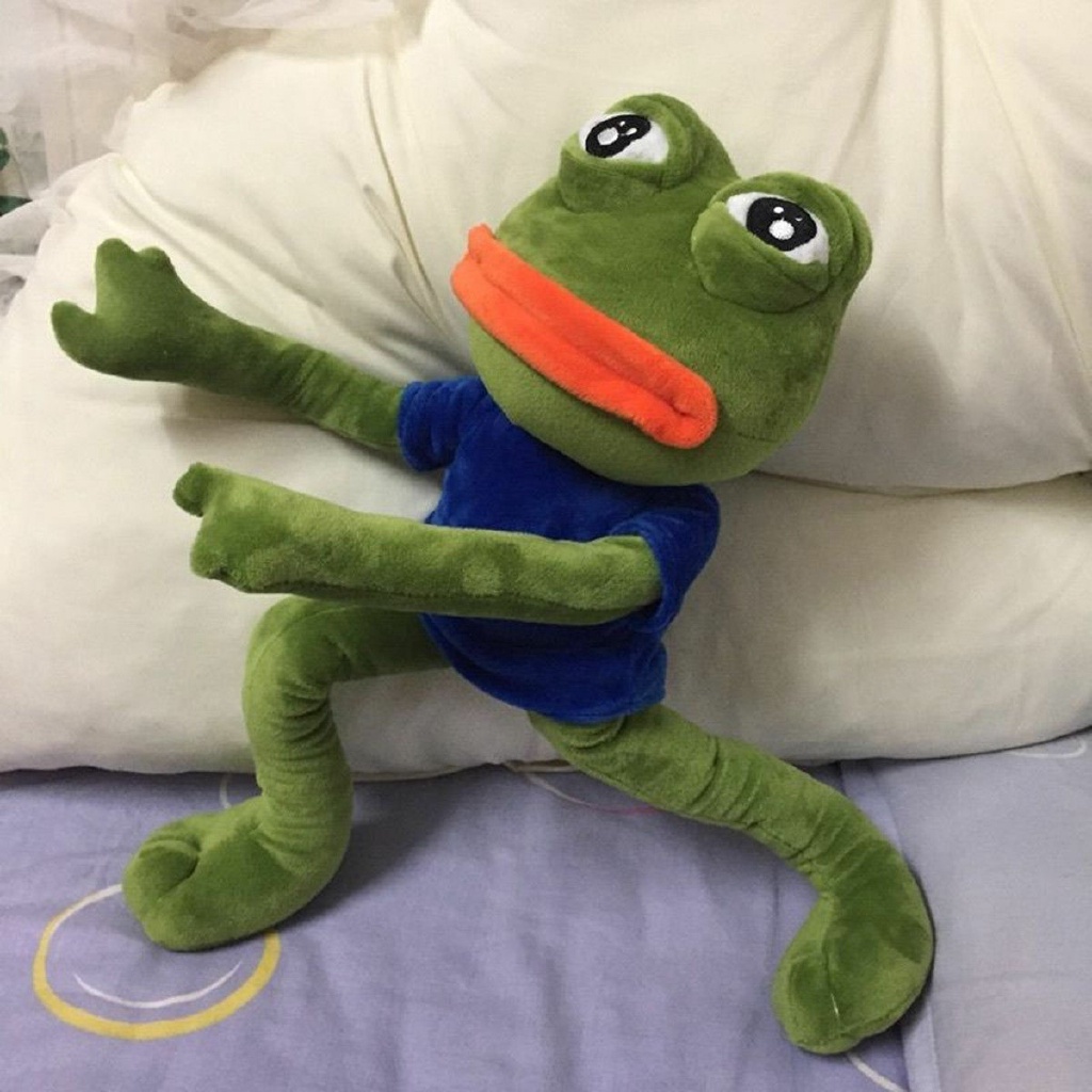 2022 New 45cm Magic Expression Pepe Sad Frog Frog Collection Plush ...
