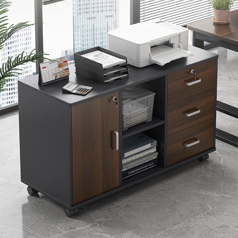 Office Cabinet File Cabinet Wooden with Lock Low Cabinet Data Cabinet ...