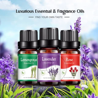 Essentialize, Online Shop | Shopee Singapore