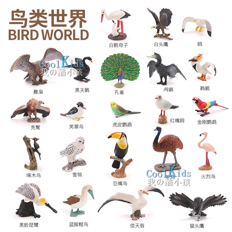 Classic Bird Animal Flamingos Parrot Sea Mew Peacock Owl Ostrich Model ...