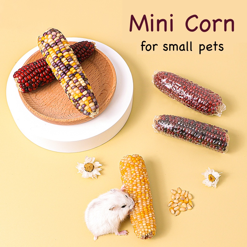 YEE Hamster Corn Hamster Snack Teeth Grinder maize Nutrient natural ...