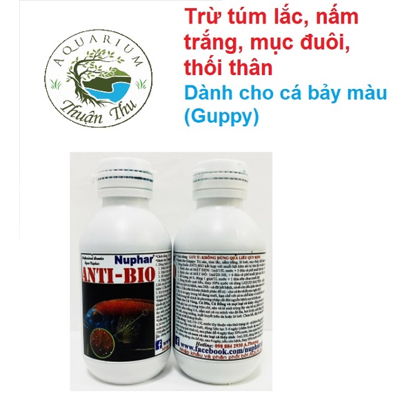 Anti-bio Nuphar Specializes in Handling and Shaking for Guppy Aquarium ...