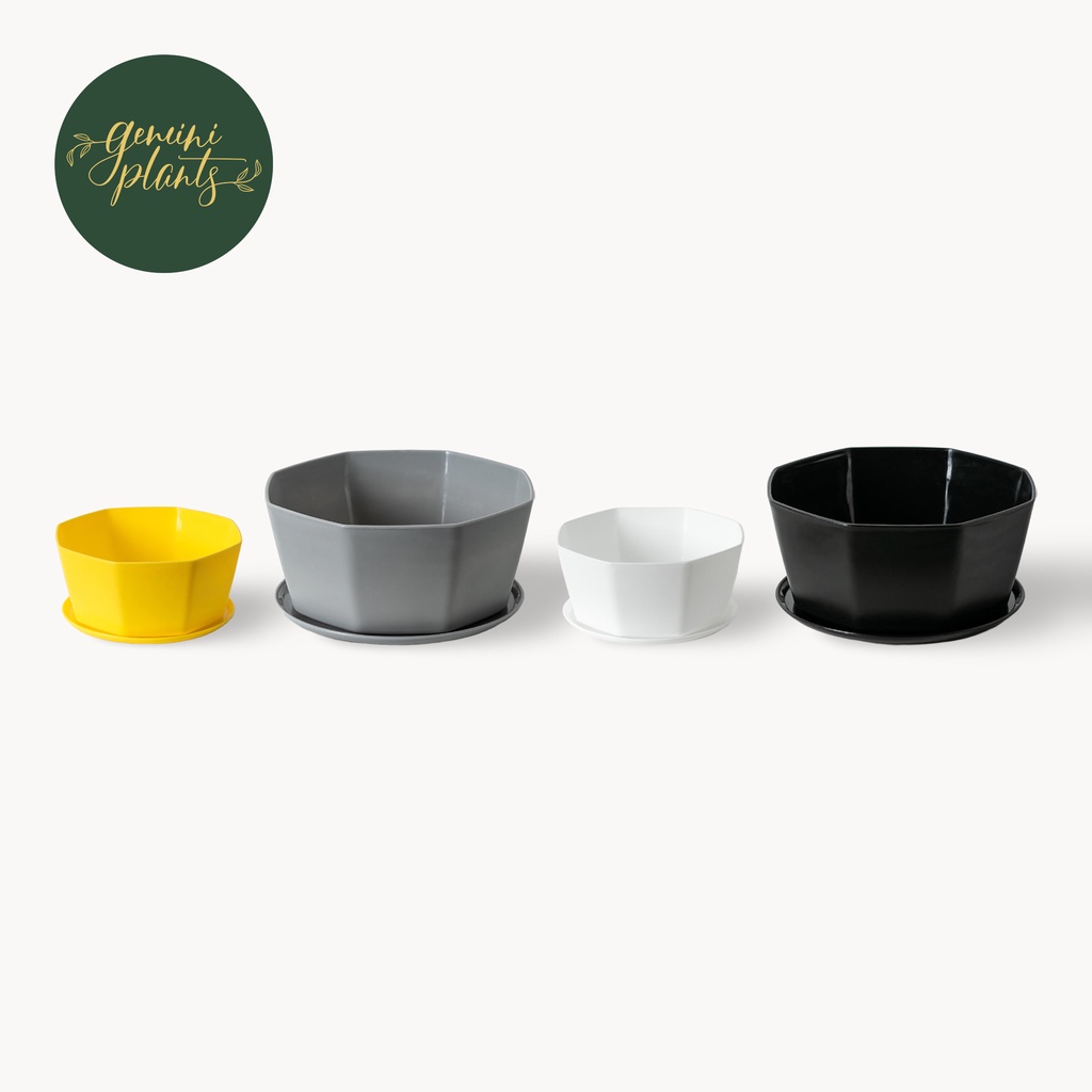 Gemini Plants Octagonal Plastic Flower Pot Plant Pot Planter with ...