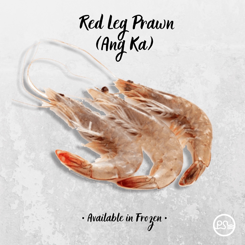 Freshly Frozen Red Leg Prawn (Udang Ang Kar) | Shopee Singapore