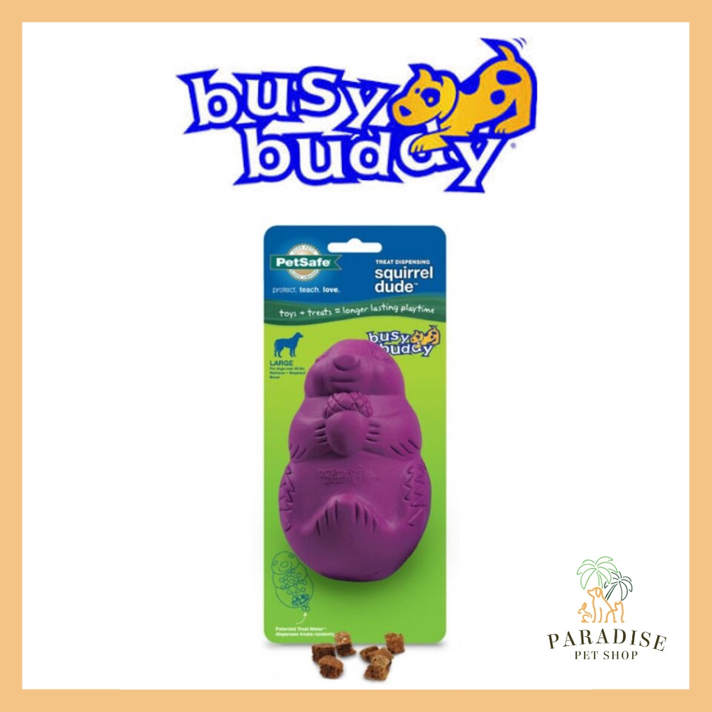 PetSafe Busy Buddy Dog Toy Squirrel Dude | Shopee Singapore