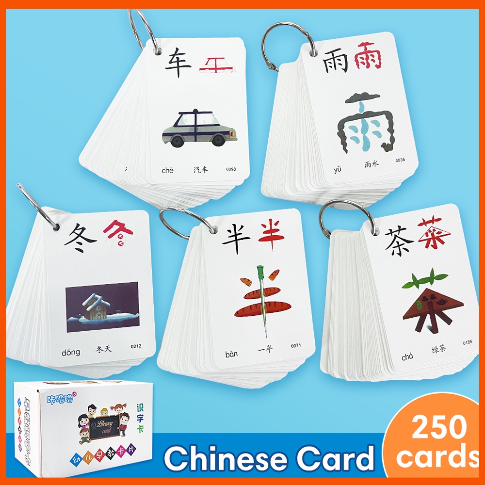 Early Development Memory Children Chinese Pinyin Words Card Early ...