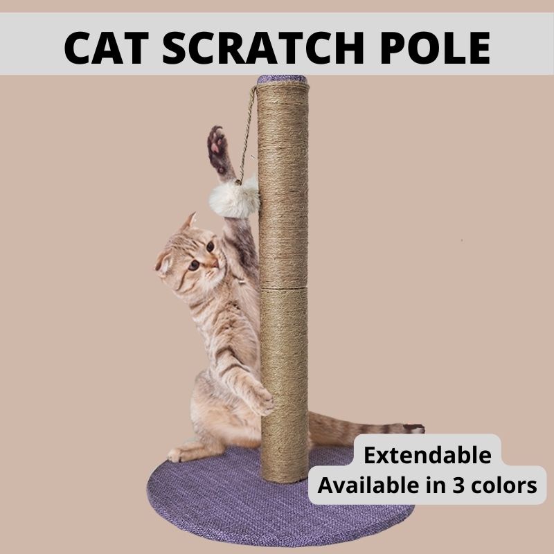 Cat Scratch Pole With Dangling Ball Scratcher Wood Kitten Climbing Post ...