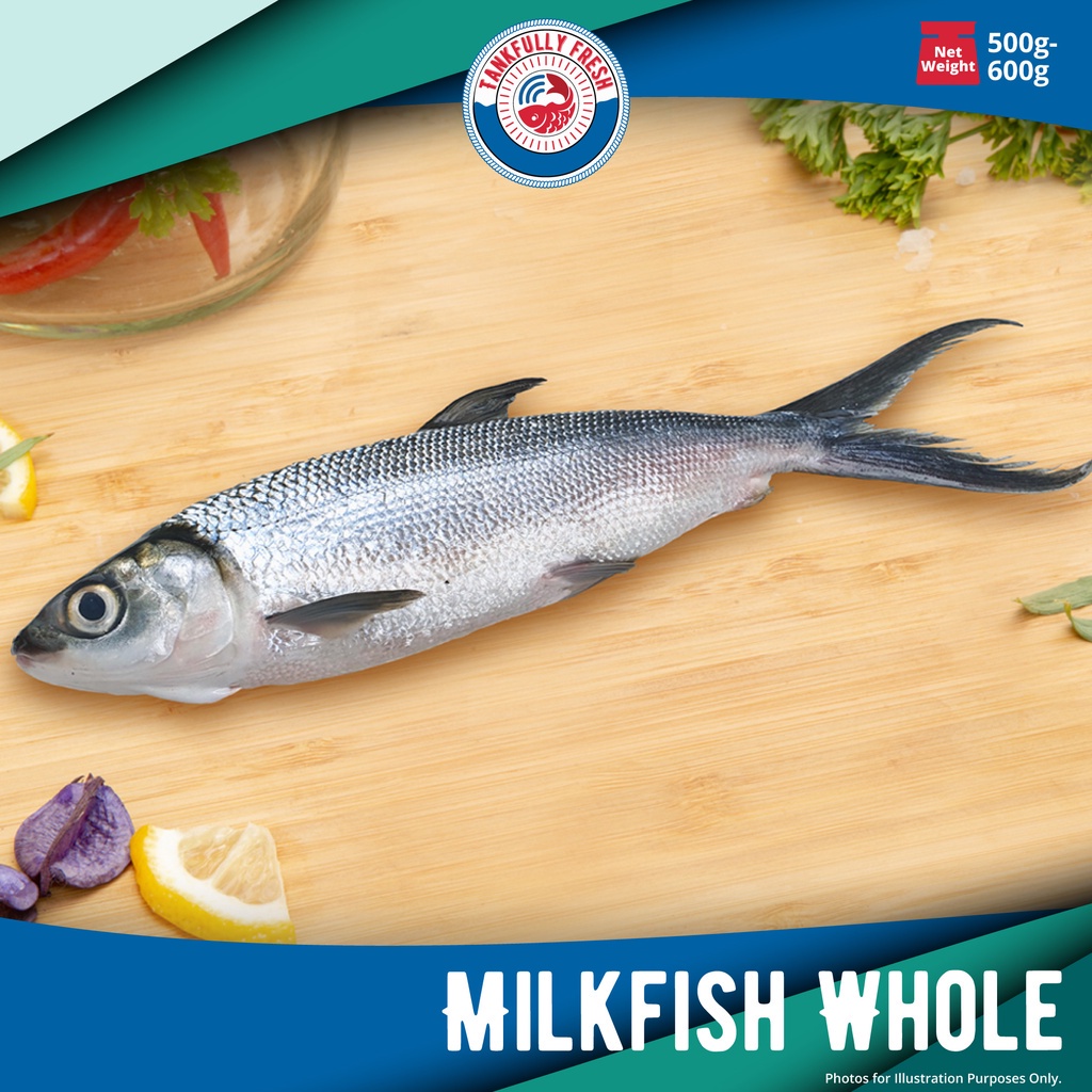 [Tankfully Fresh] Fresh Milkfish Whole 牛奶鱼 (500g-600g) | Shopee Singapore
