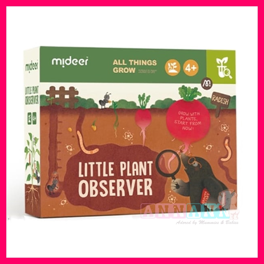 Kids Plant Observation Box – STEM Root Growth Educational Toy Set ...