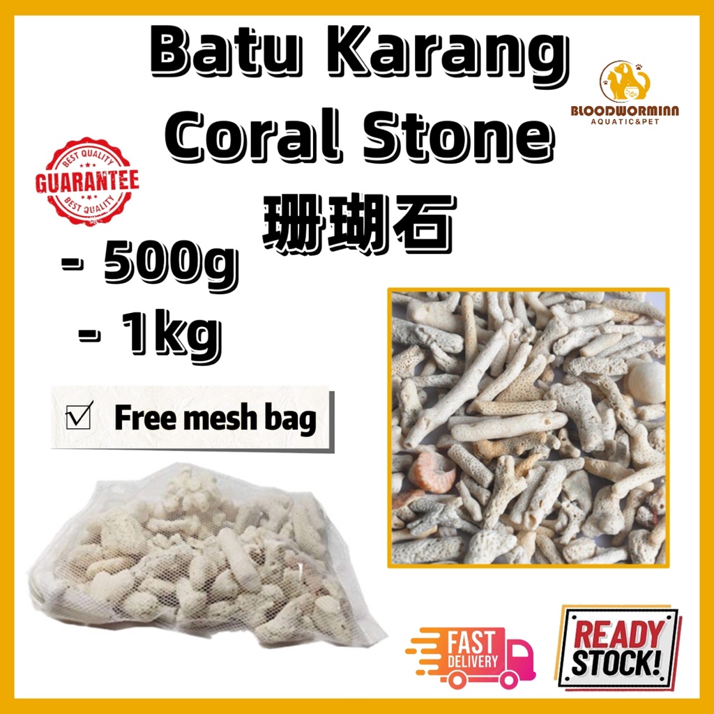 Coral Filter Media Aquarium 1kg Batu Karang Biogical 珊瑚石 | Shopee Singapore