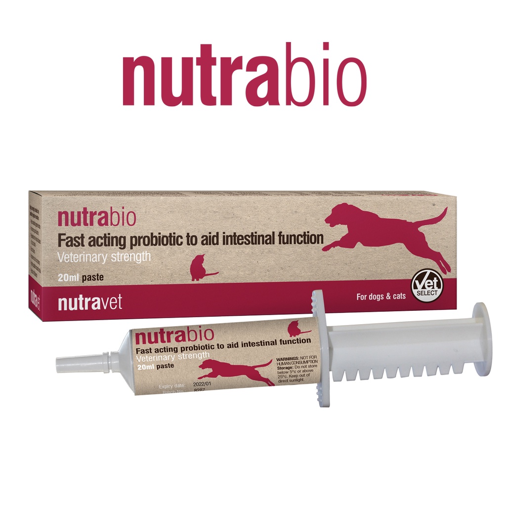 Nutrabio - Probiotic For Digestive Disorders & Diarrhea Dogs Cats ...
