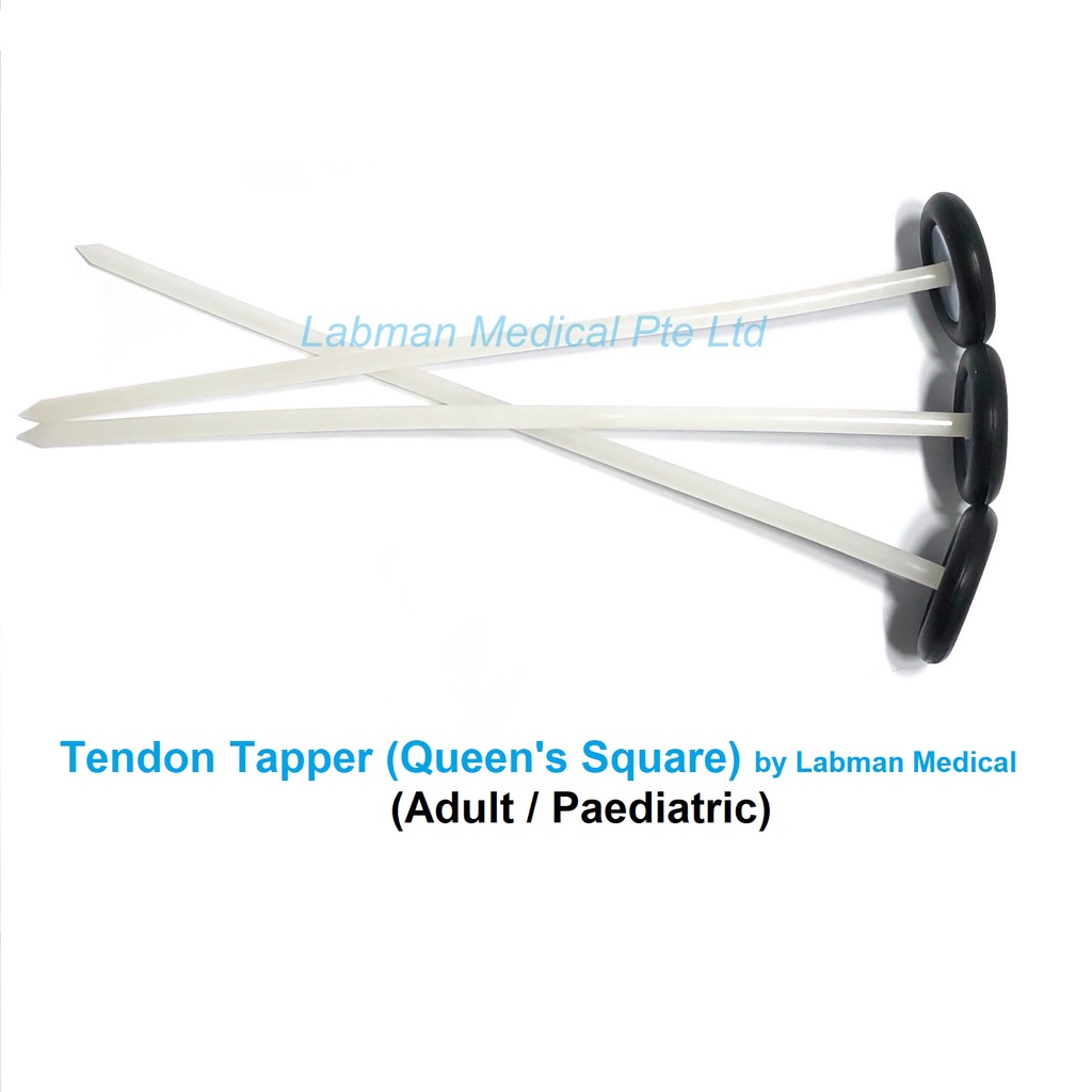 Queen's Square Tendon Tapper hammer (Adult/Paediatric) by Labman ...