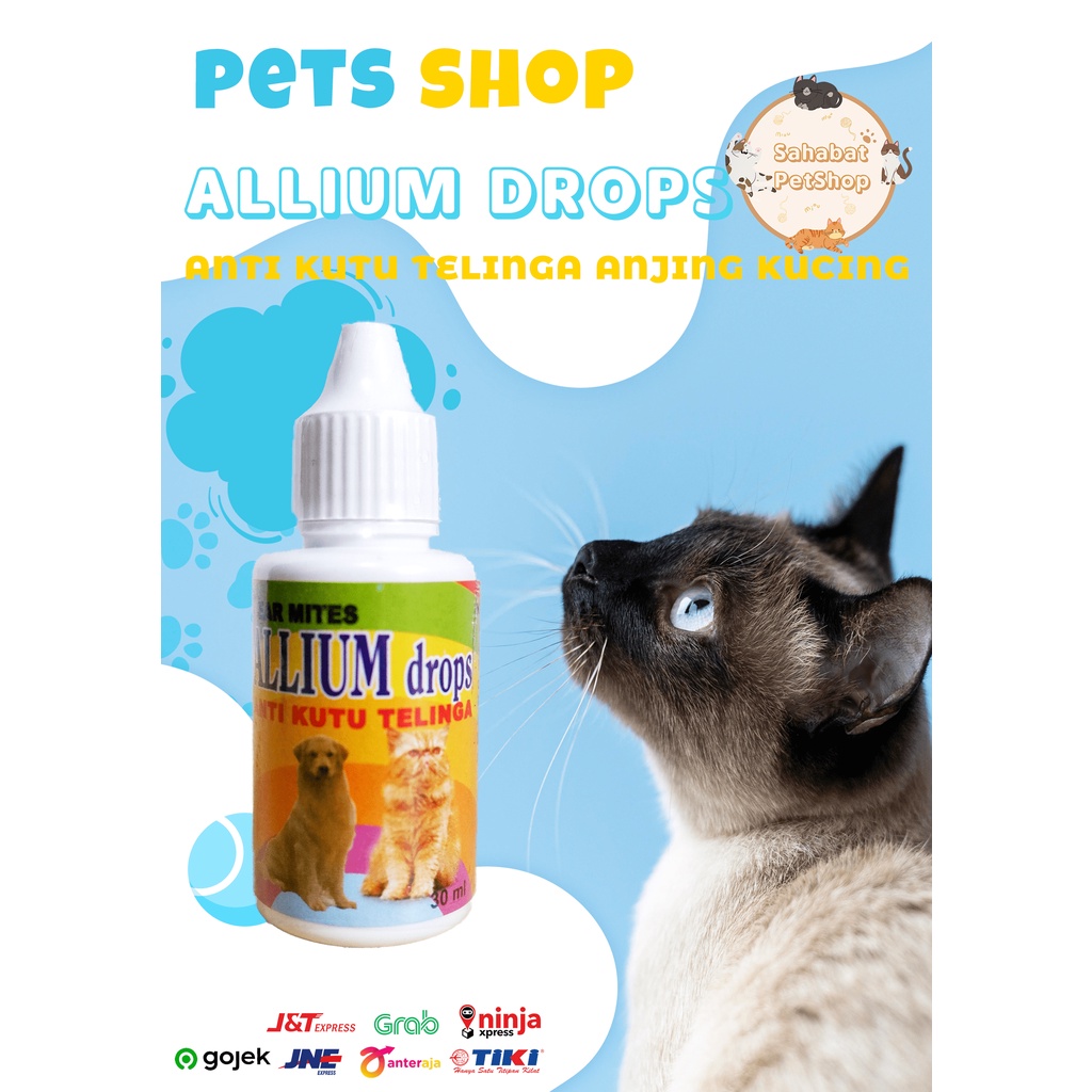 ALLIUM Anti Ear Mite Medication for Cats Dogs Ear Mites Allium Drops ...