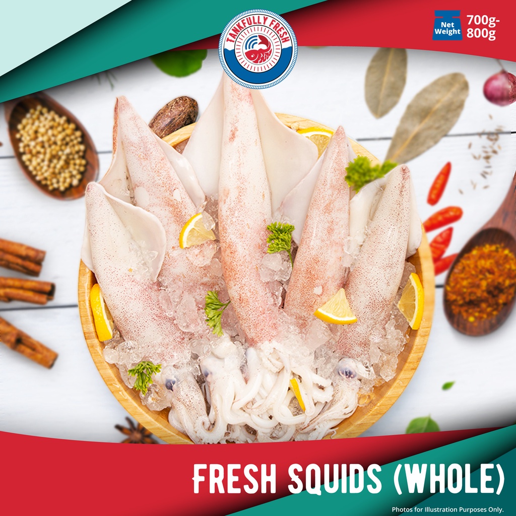 [Tankfully Fresh] Fresh Squids Whole 苏东 (3-5 pcs/700g-800g) | Shopee Singapore