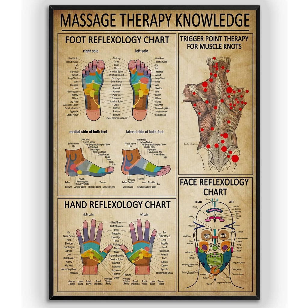 Reflexology Chart Massage Therapy Knowledge Poster Foot Trigger Point ...