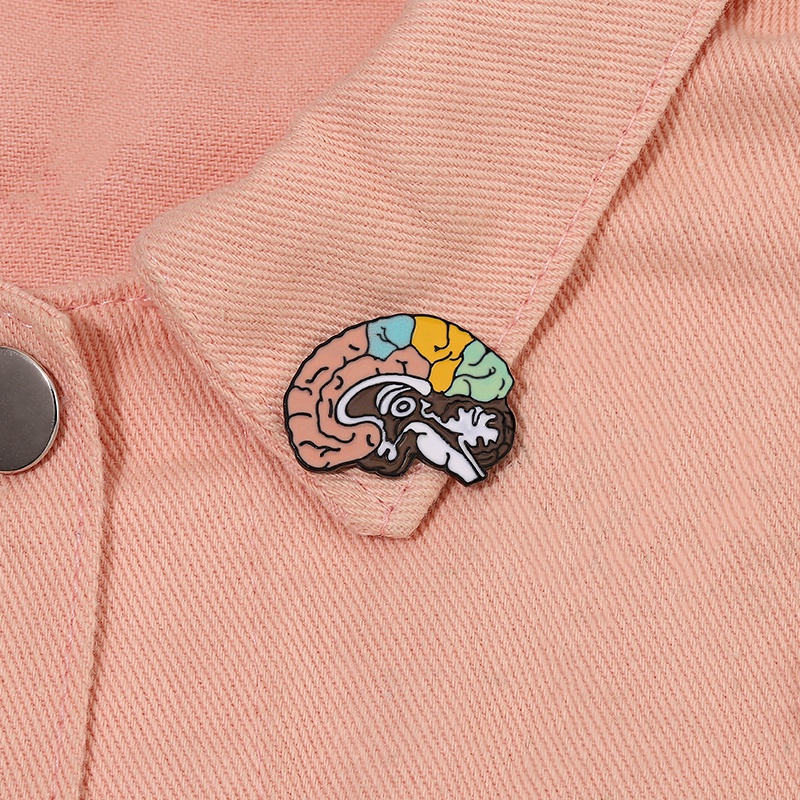 Anatomy Medical Brain Brooch Delicate Colorful Enamel Lapel Badge Pins ...