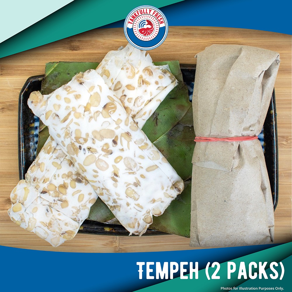 Heartland Tempeh (made from soybeans) 天贝 (2 packs) | Shopee Singapore