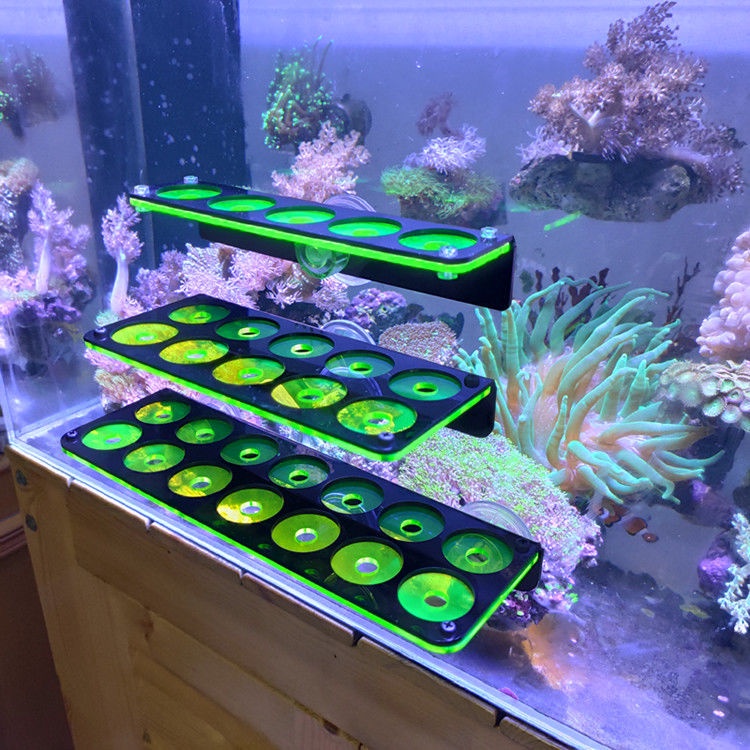 Fish Tank Fluorescence Coral Frag Rack Aquarium Reef With Plug Holder ...