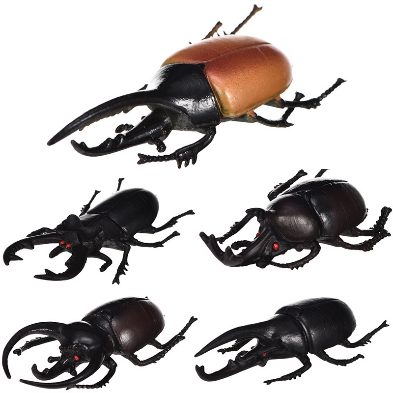 5 simulated Beetle models solid plastic beetle unicorn insect toys ...