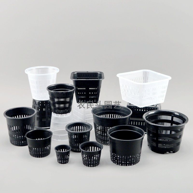 Phalaenopsis Dendrobe Cattleya Oncidium Fresh Orchid Flower Pot Porous ...