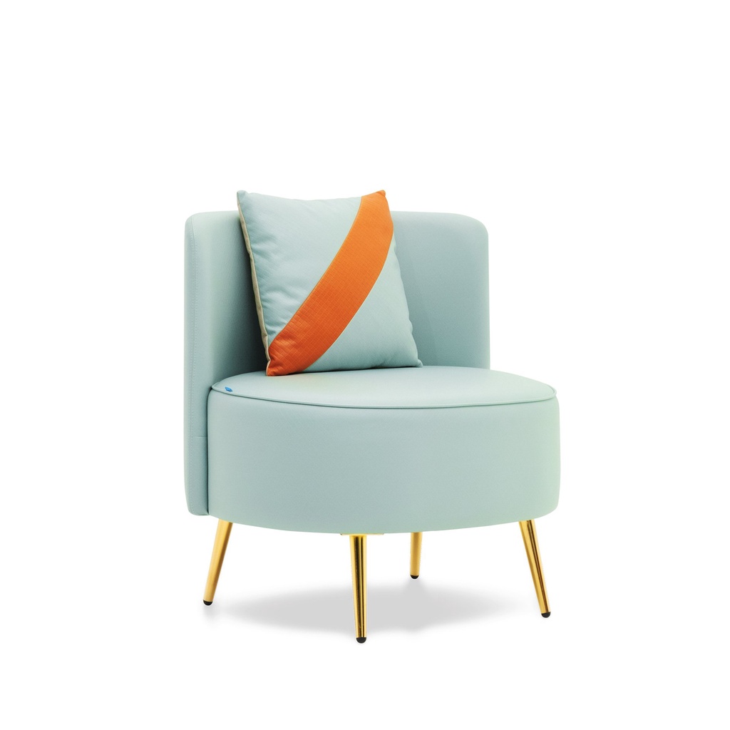 SG Local spot Small Apartment Fashion Sofa Single Double Sofa Office ...
