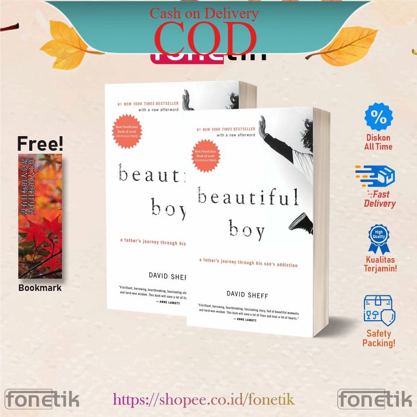 [New] Beautiful Boy: A Father's Journey Through His Son's Addiction by ...