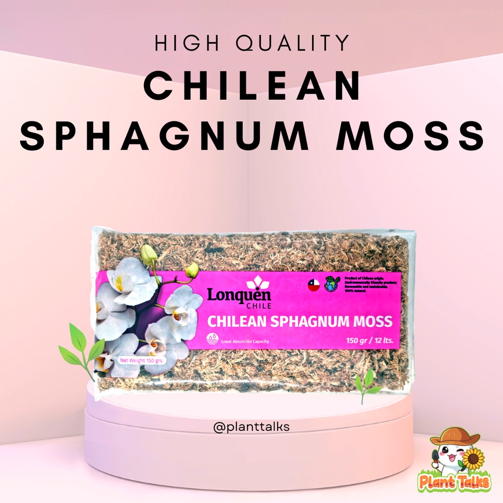 Chilean Sphagnum Moss / Peat Moss for Succulent / Rooting Moss / Garden ...