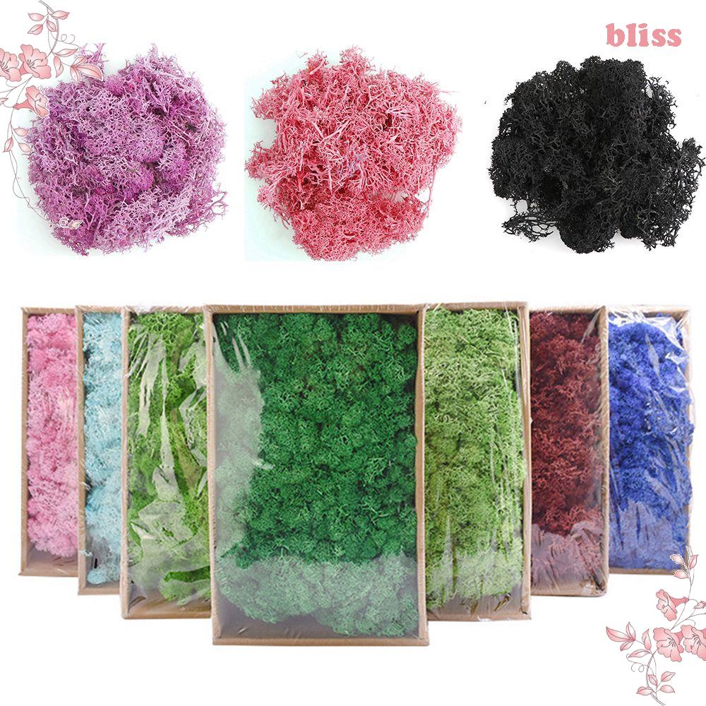 BLISS DIY Eternal Moss Artificial Artificial Plants Moss Green Plants ...