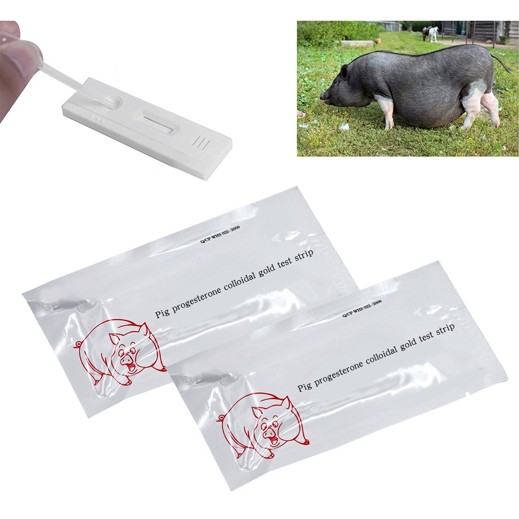 Pig Pregnancy Test Strip Early Pregnant Detection Testing Tool Sow ...