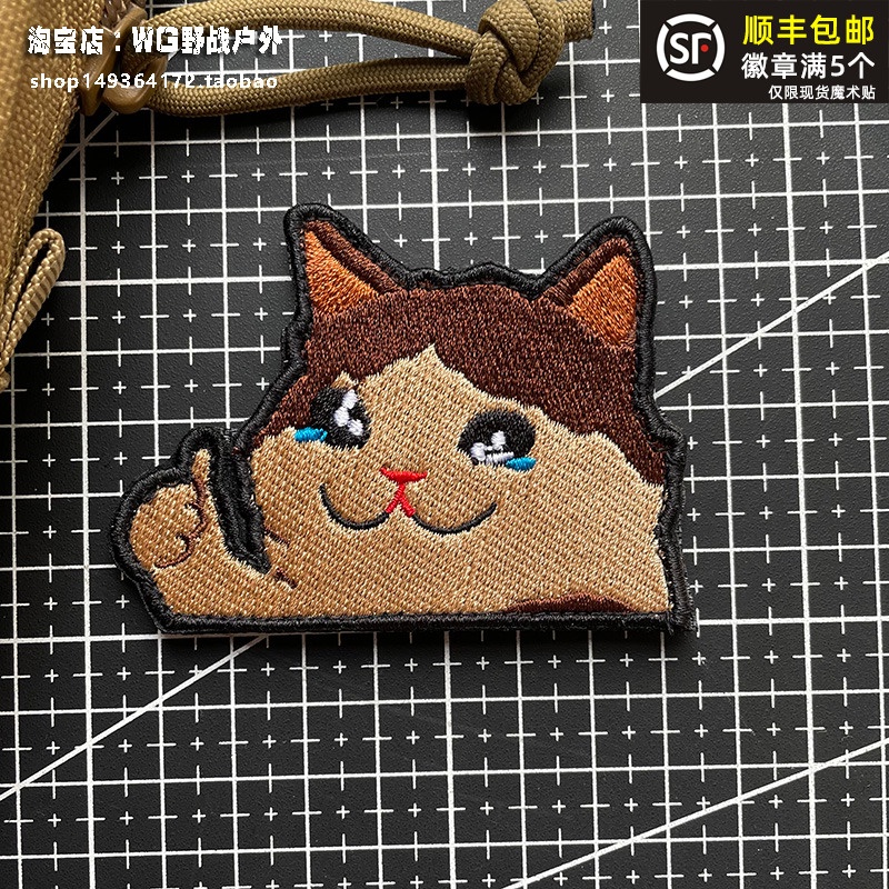 【Customized 】 Encouraging cat morale badge Tearful thumbs up 3D Velcro ...