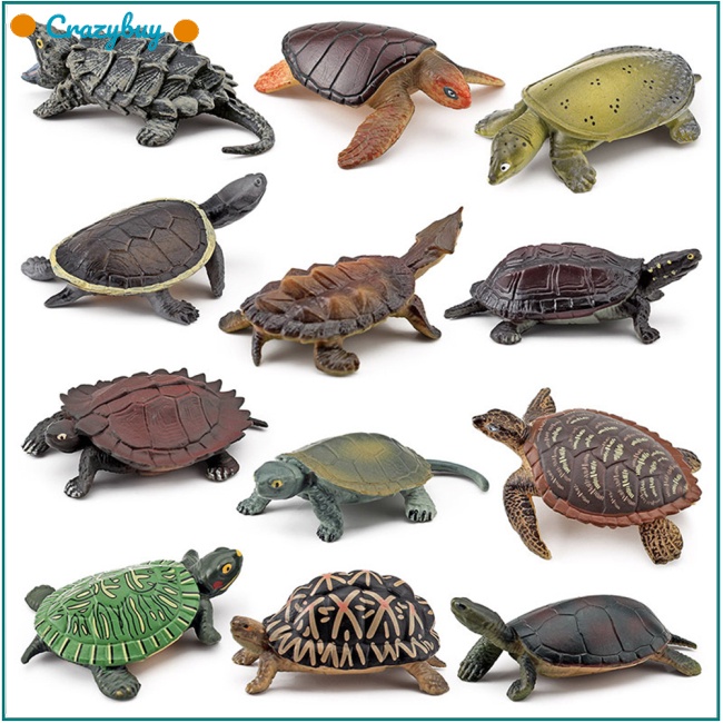 CR Realistic Turtle Action Figure Simulation Animals Figurines Ocean ...