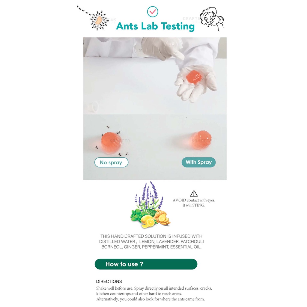 😍 Natural Anti-Ant Spray 350ml l Ants Off- Repellent Spray l Instant ...