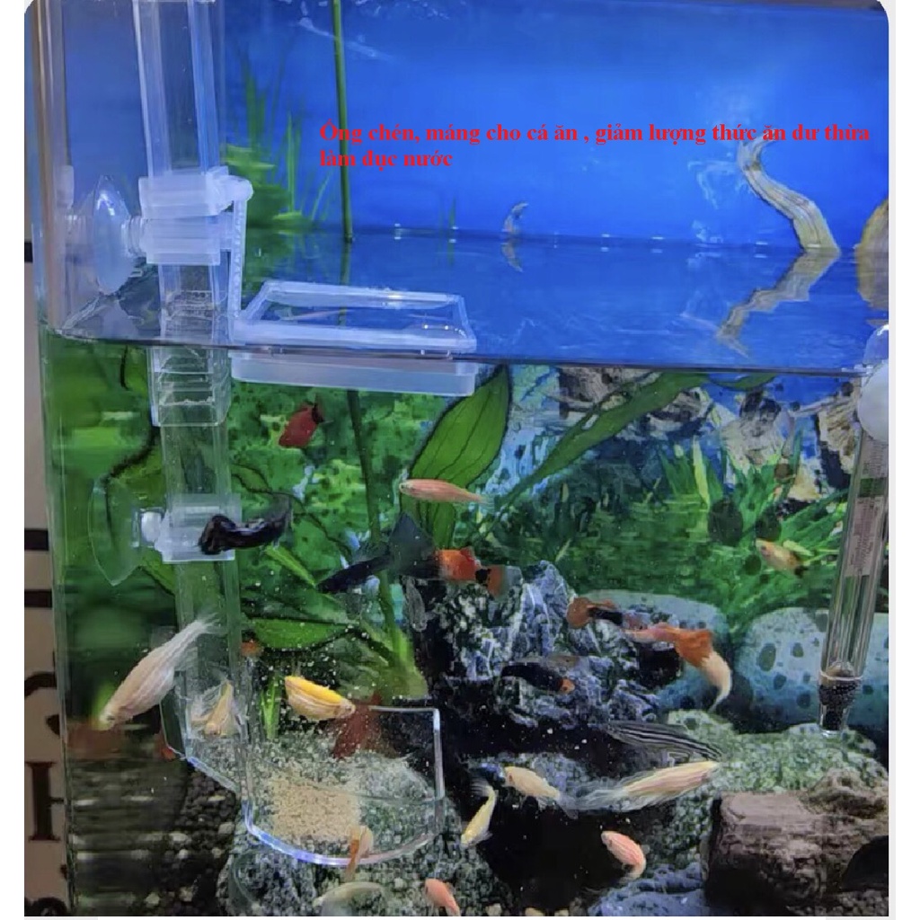 Fish feeding bowl - fish feeding trough helps reduce excess food from ...