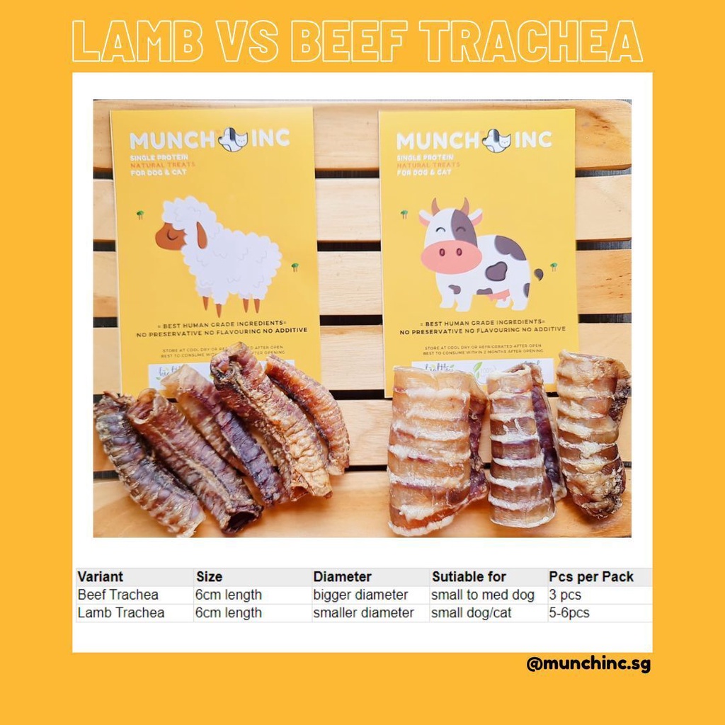 Munch Inc - TRACHEA - Beef / Lamb Series - Air-Dried Dehydrated Pet ...