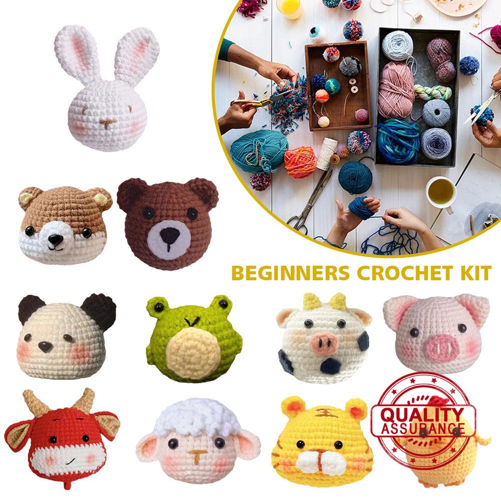 DIY Crochet Kit Beginner Set DIY Wool Felt Poked Needle Handcraft For ...