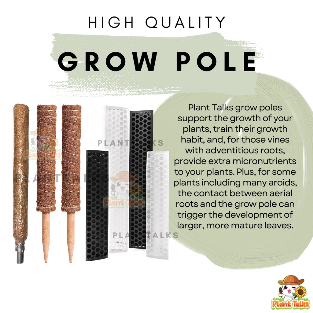 Plant Talks Coco Coir Grow Pole Honeycomb Moss Climbing Pole Plant ...