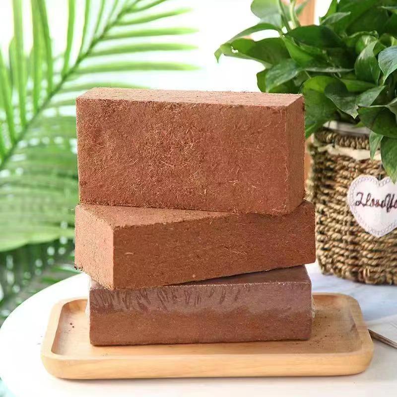 Coconut Shell Brick Nutrient Soil Wholesale Flower Cultivation ...