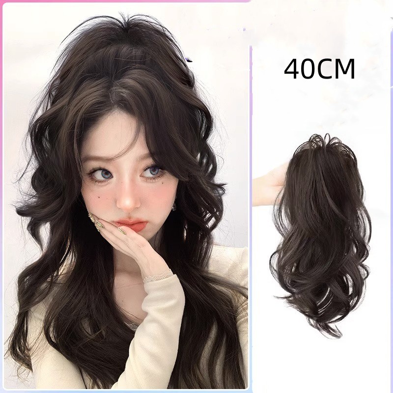 40cm Women'S Ponytail Hair wig With Claw Clip For High Ponytail ...