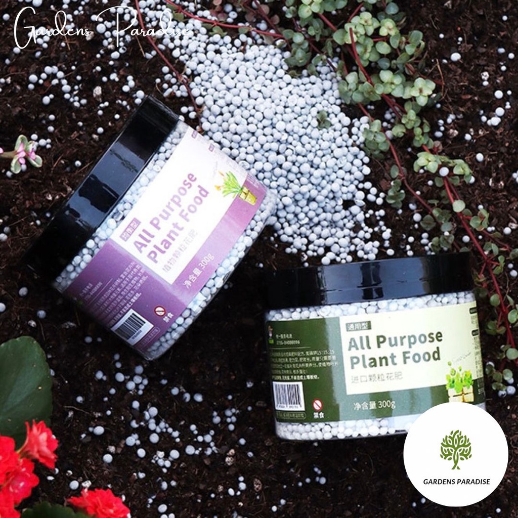 [BUNDLE OF 2] NPK 15-15-15 Granular Compound Slow-release Fertilizer ...
