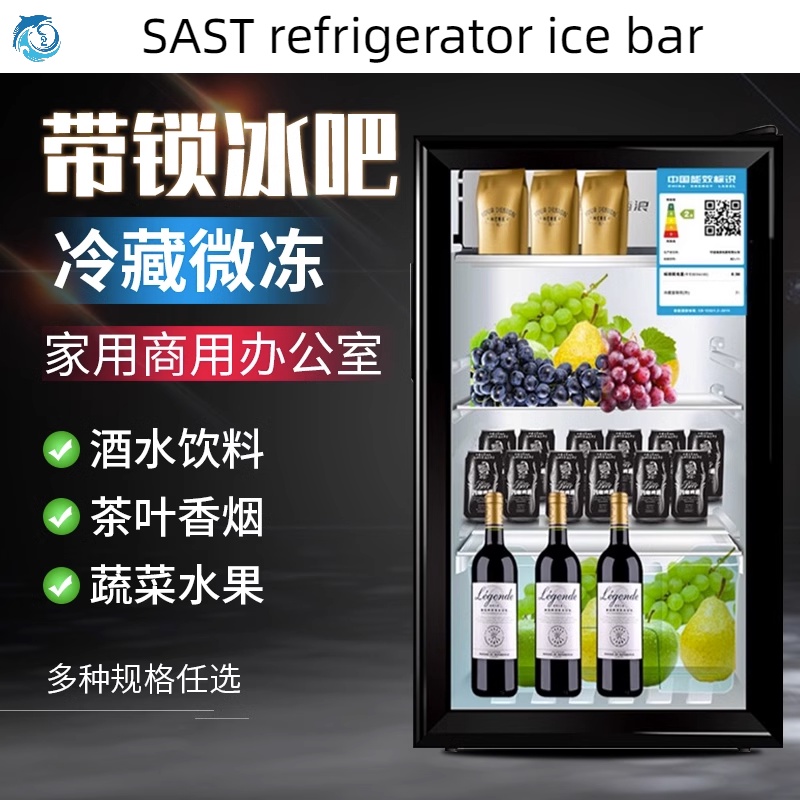 Sast Mini Transparent Vertical Freezer Small Refrigerator Ice Bar ...