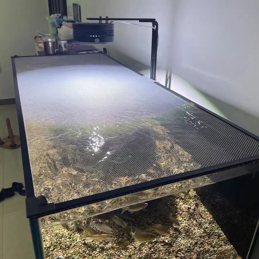 Turtle Anti Escape Net Fish Tank Plastic Box Mesh Cover Anti-Jumping ...