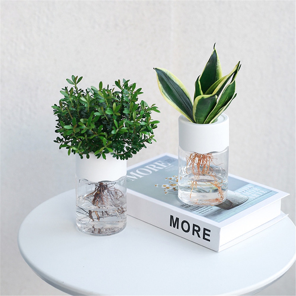 11.8*6.8cm Mini Hydroponic Pot Water Planting Vase Plastic Flower Pot ...