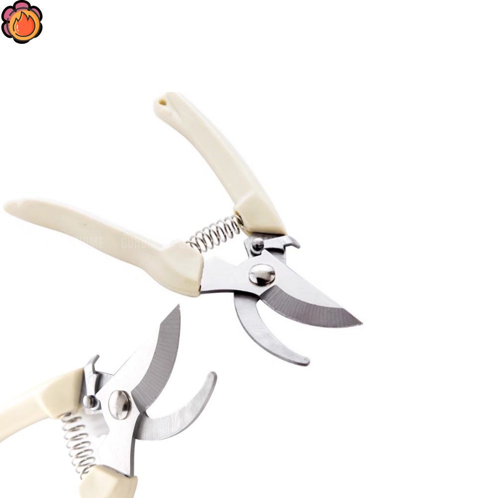 Stainless Steel Grafting Tool Gardening Pruning Shear Scissor Branch ...