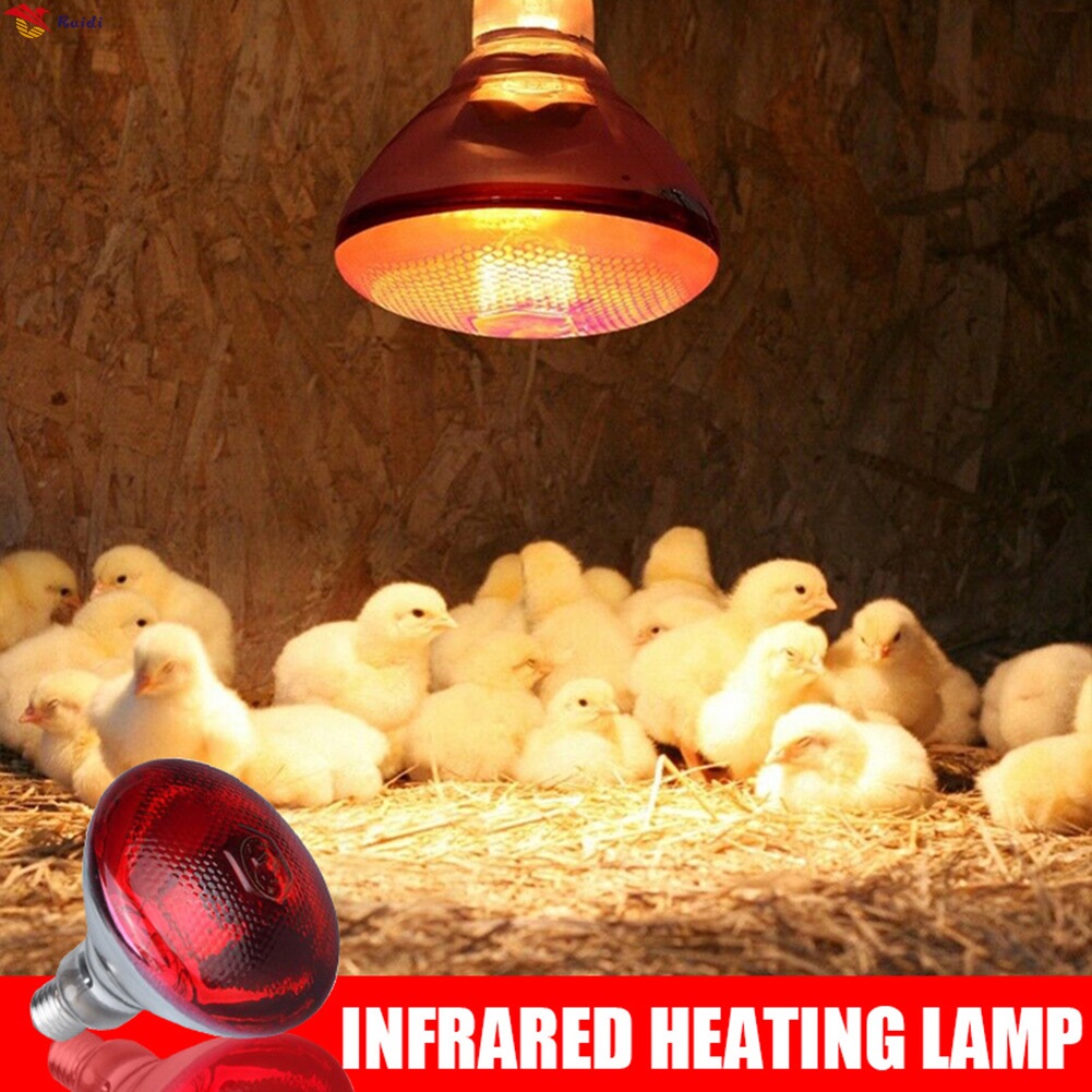 250 Watts R40 Red Heat Lamp Flood Light Infrared Heating Bulb For Swine ...